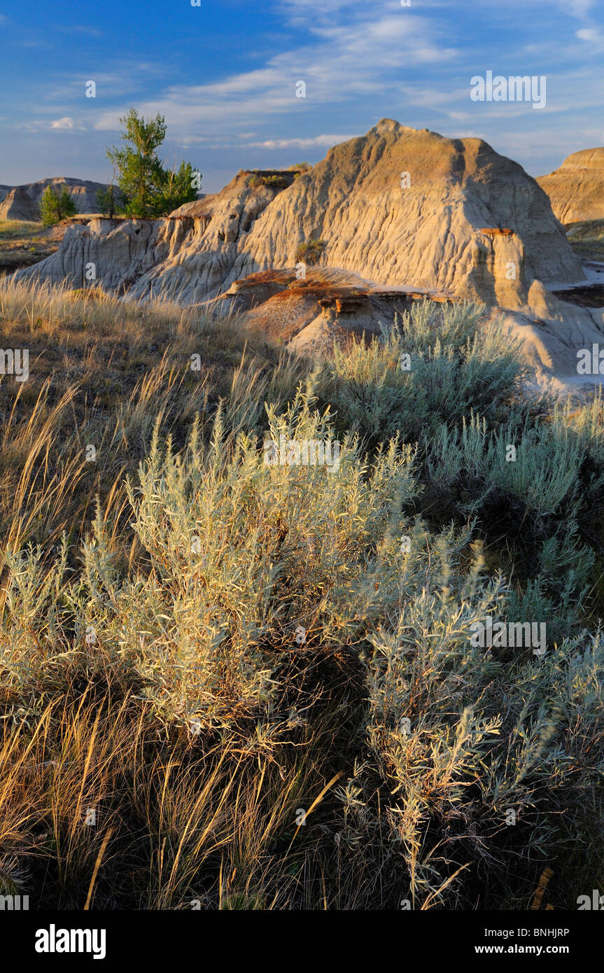 Canada Badlands at Dinosaur Provincial Park Alberta province prairie ...