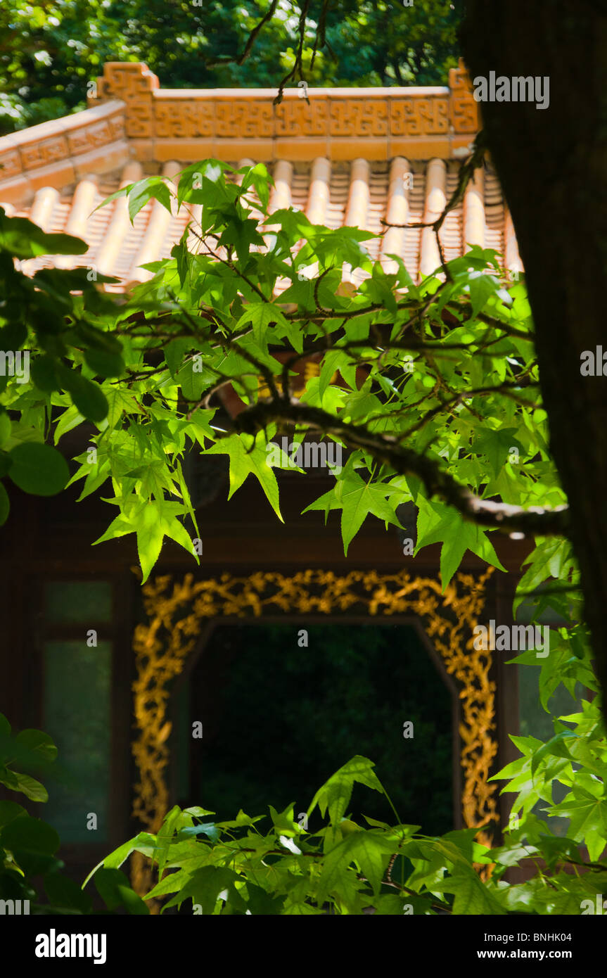 Thai temple with maple leaves Stock Photo - Alamy