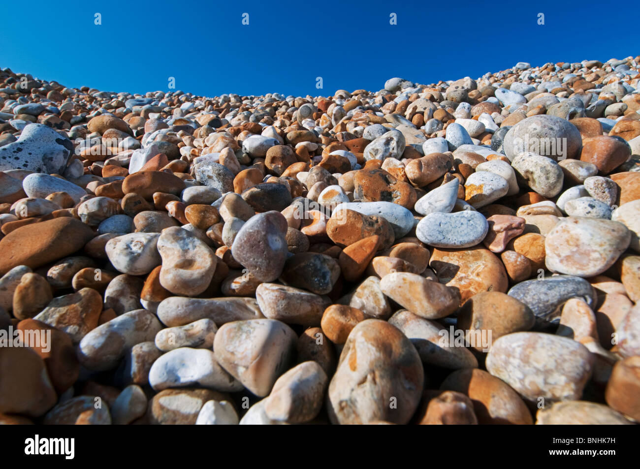 Pebbles, Dungeness RSPB Reserve, Kent, England Stock Photo - Alamy