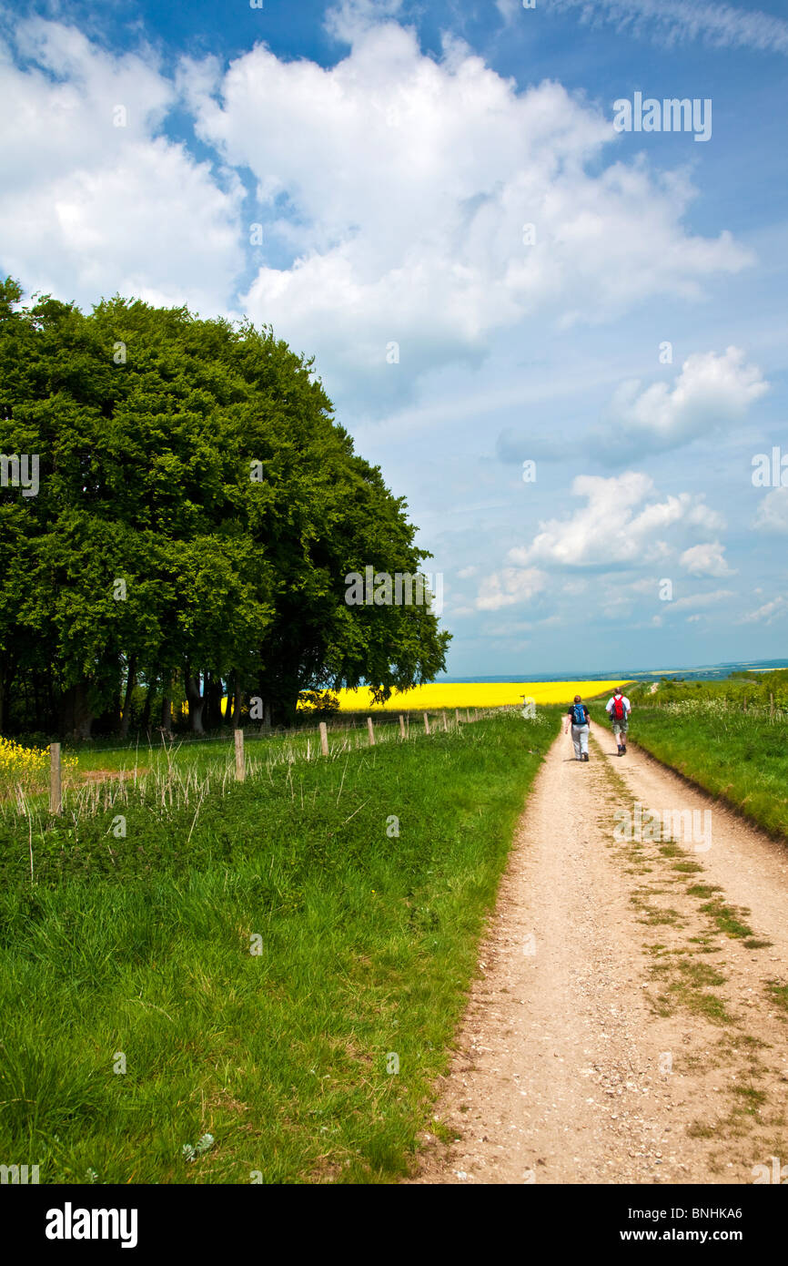 A couple walking The Ridgeway long distance path at Hackpen Hill ...
