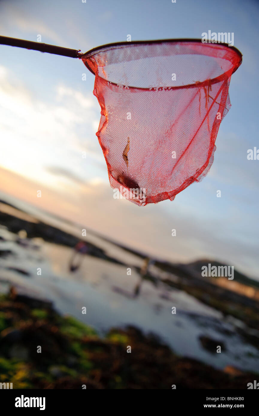Children fishing in rock pools hi-res stock photography and images - Alamy