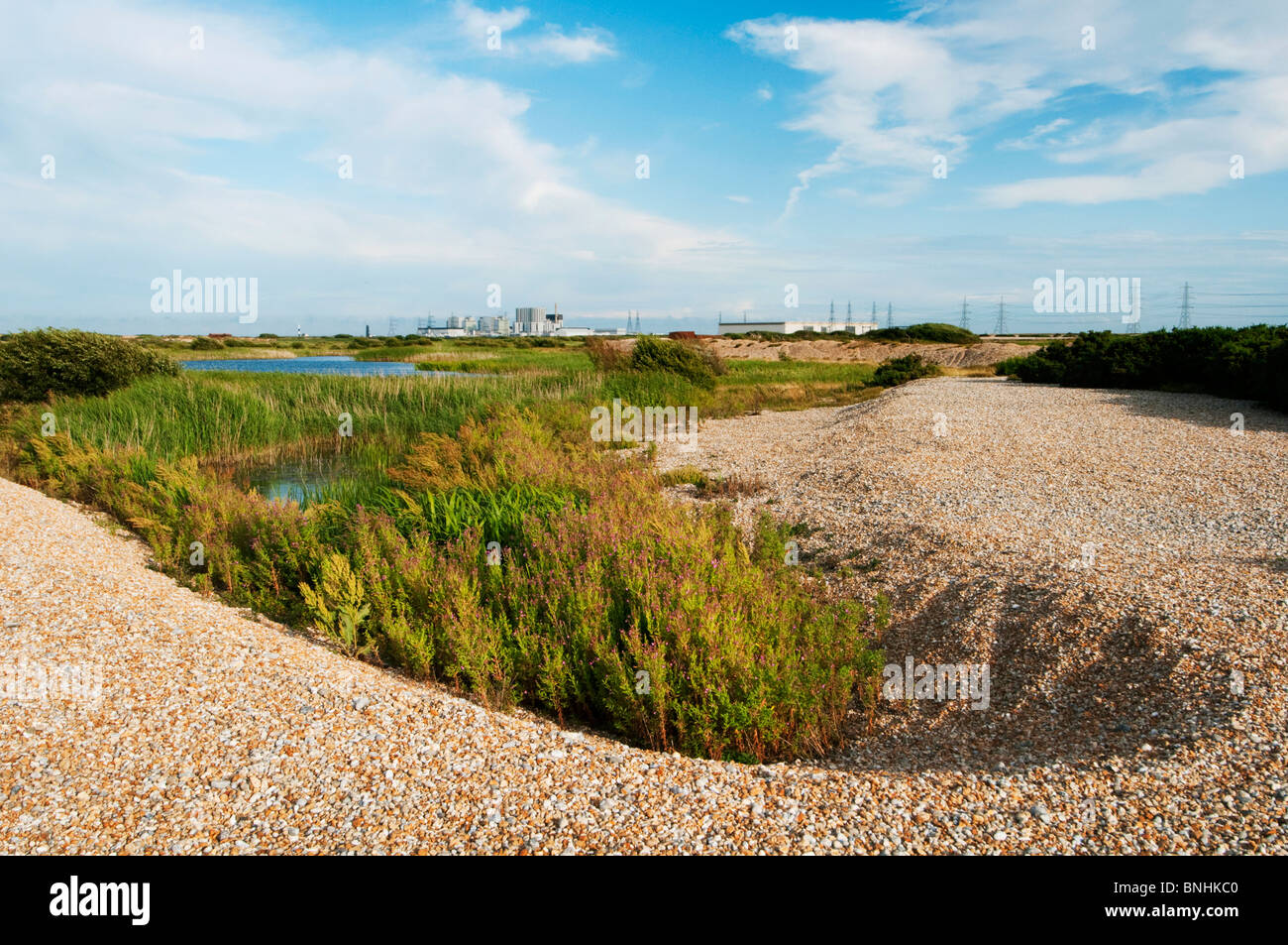 Dungeness Rspb Stock Photos & Dungeness Rspb Stock Images - Alamy