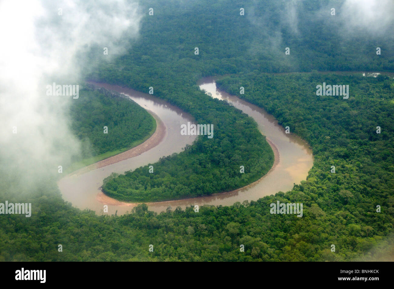 Ecuador Napo River near Coca Amazon Rainforest forest wood tropics ...