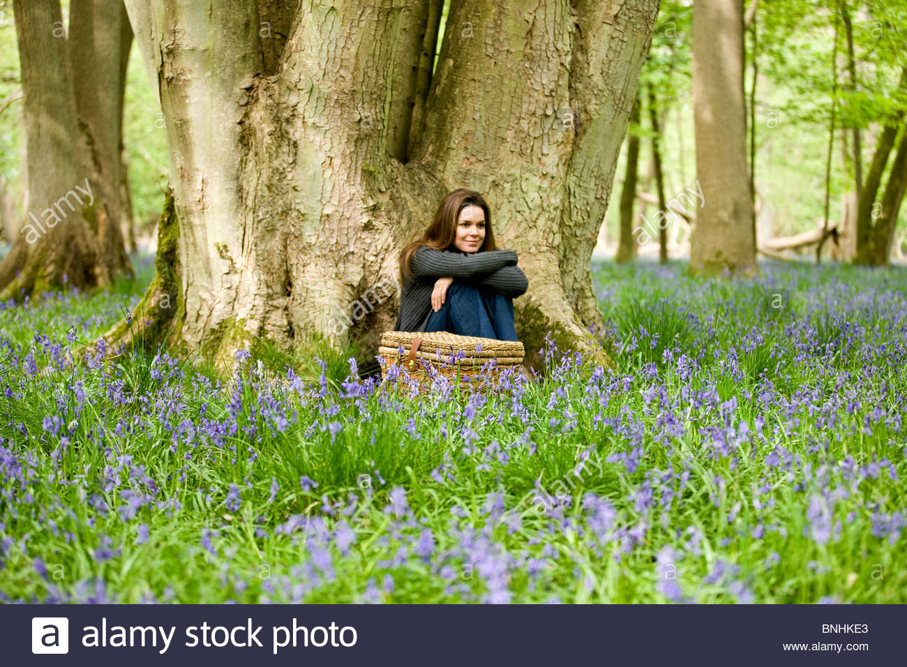 Picnic Under Trees Stock Photos & Picnic Under Trees Stock Images - Alamy