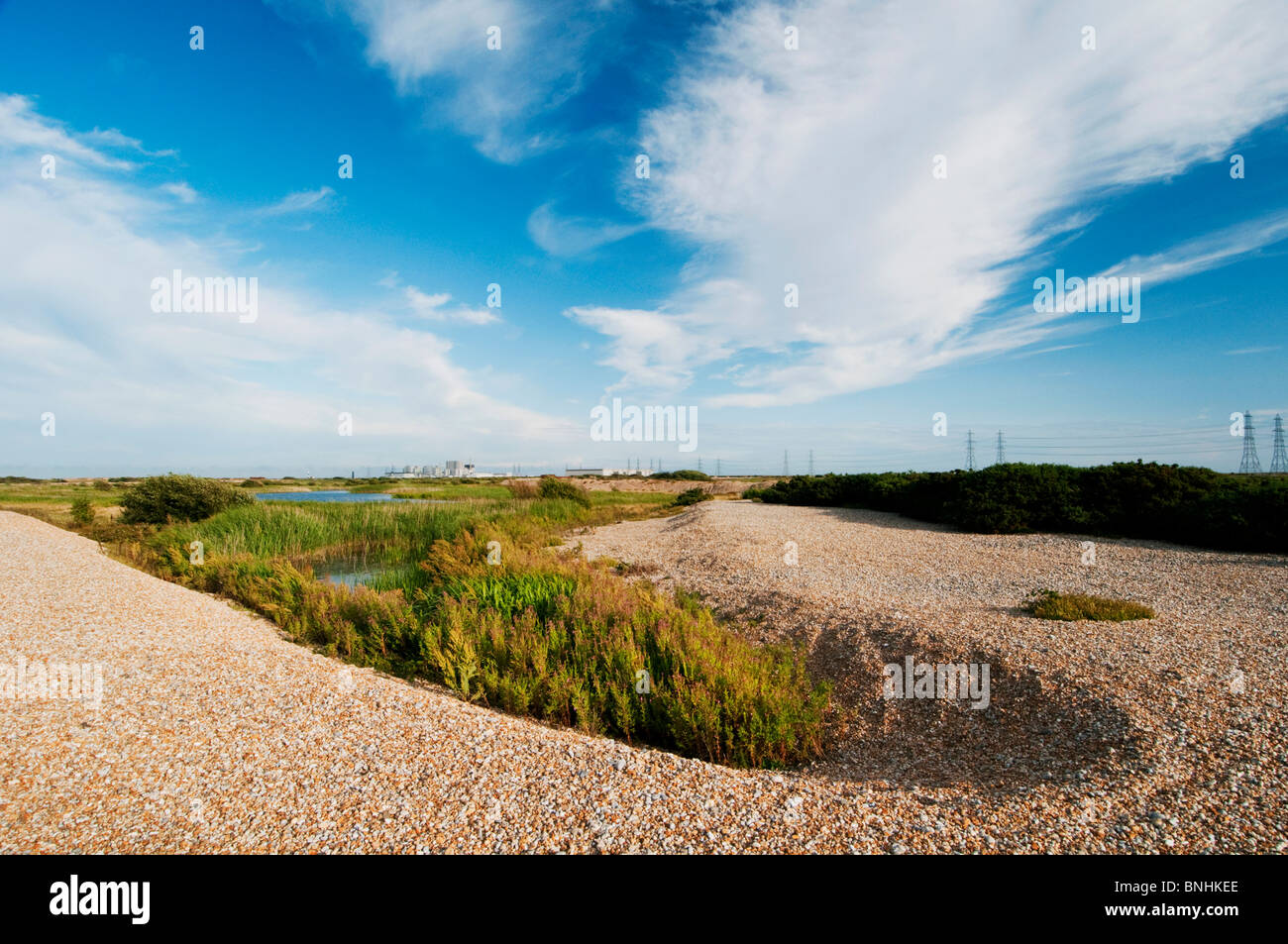 Dungeness RSPB Reserve, Kent, England Stock Photo - Alamy