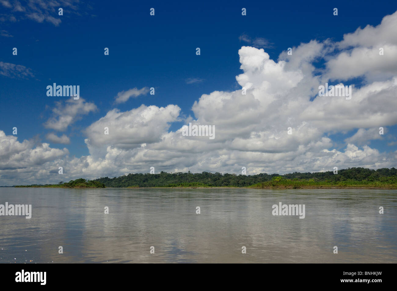Ecuador Napo river near Coca Amazonia nature landscape scenery forest ...