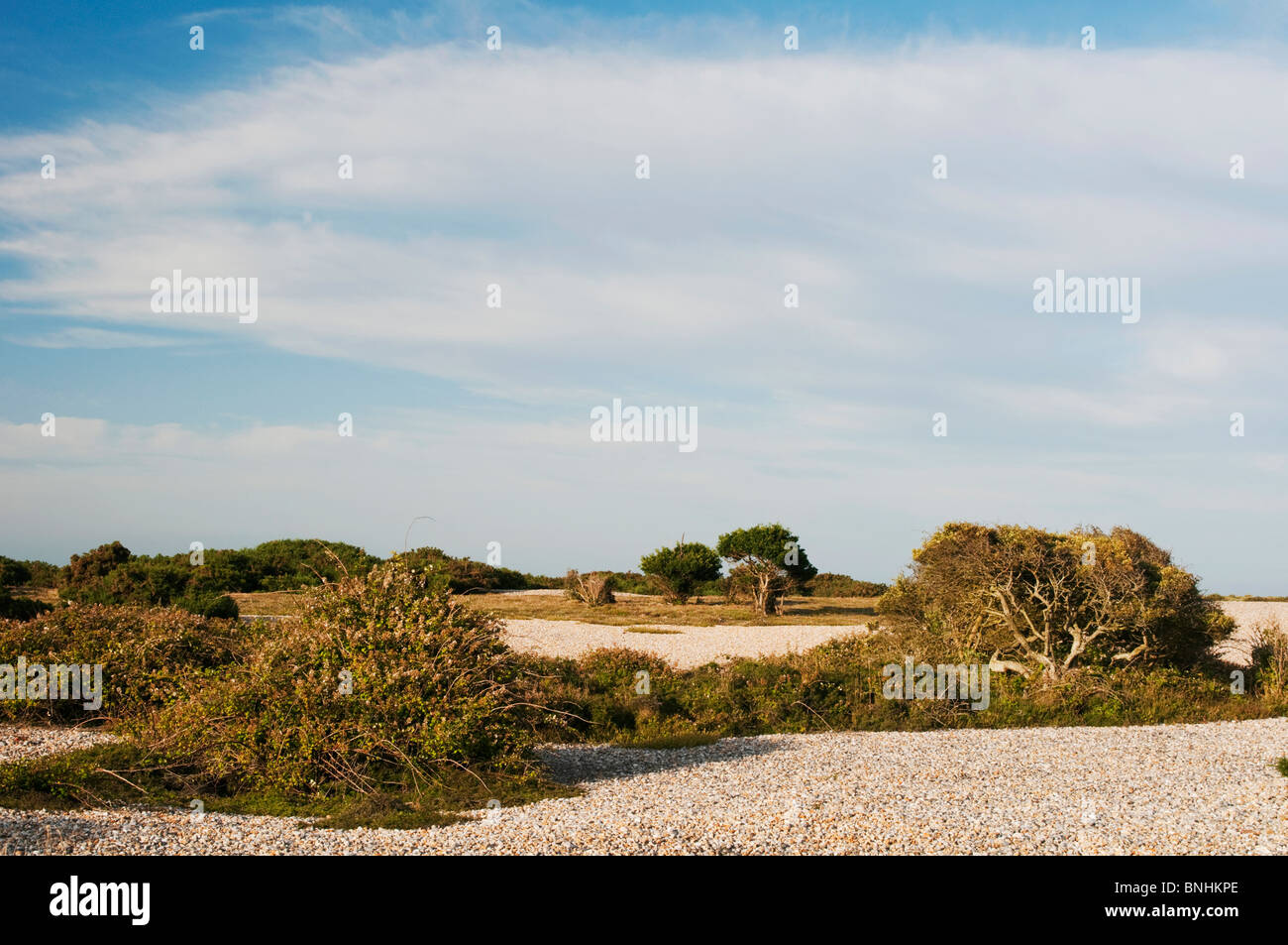 Dungeness RSPB Reserve, Kent, England Stock Photo - Alamy