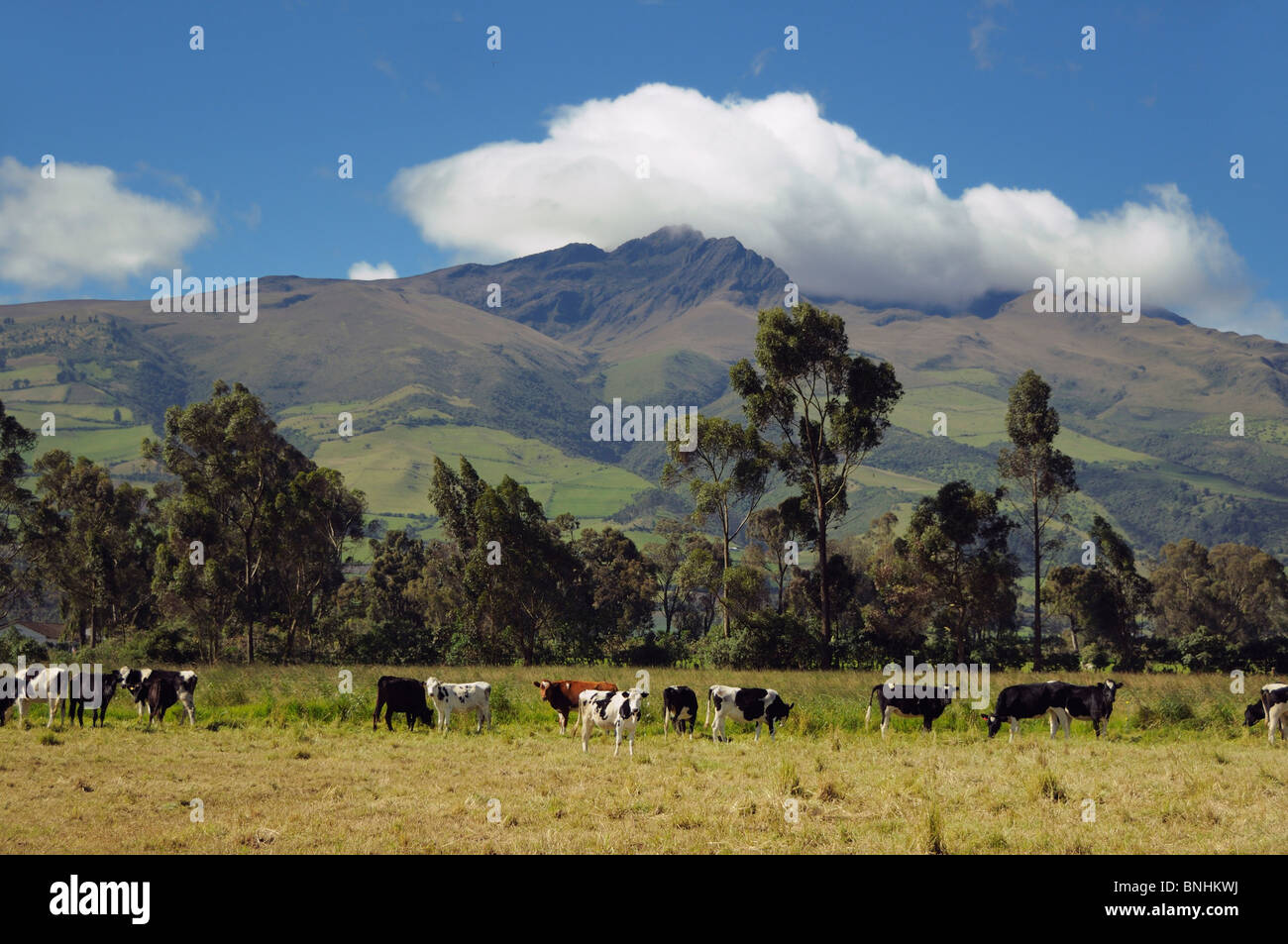 Ecuador Volcano Pichincha near Quito Andes Mountains landscape farming ...