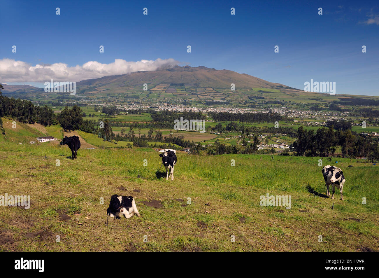Ecuador Volcano Pichincha near Quito Andes Mountains landscape farming ...