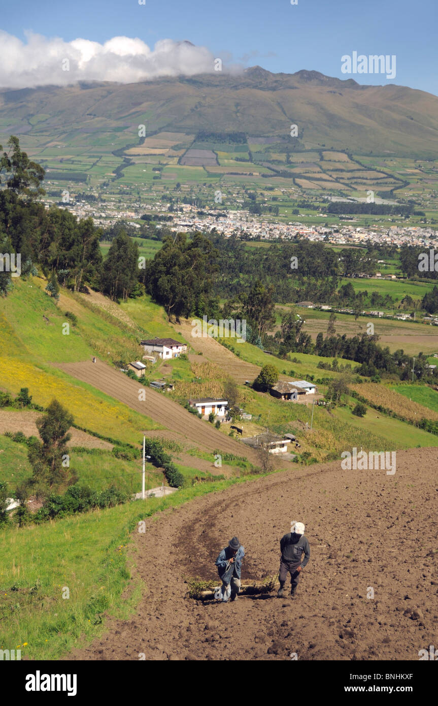 Ecuador near Guitig Andes Mountains landscape farming rural trees ...