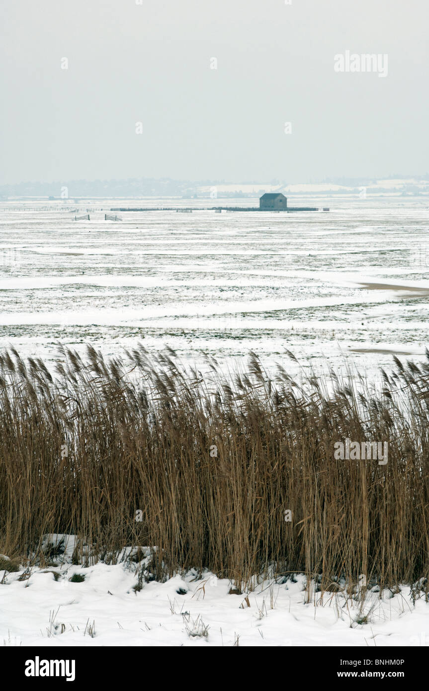 North kent marshes nature hi-res stock photography and images - Alamy