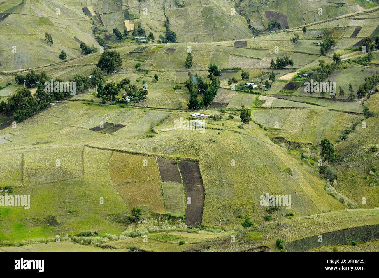 Ecuador near Tigua Paramo Andes Mountains field fields green landscape ...