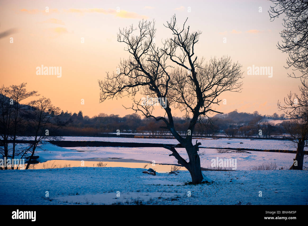 River Towy near Dryslwyn Llandeilo Carmarthenshire Wales in snow Stock ...