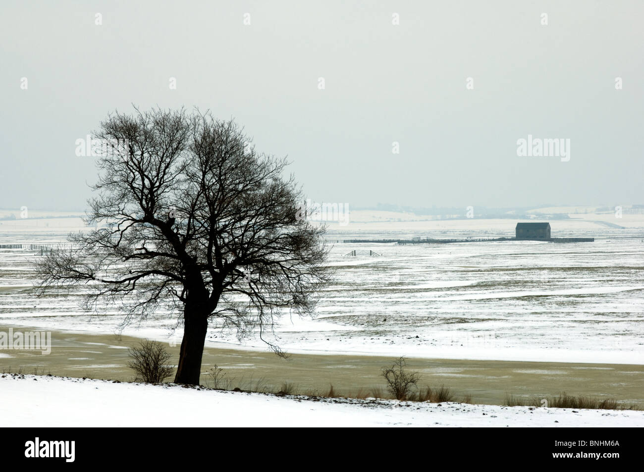 Elmley Marshes National Nature Reserve in winter, Kent, England Stock ...