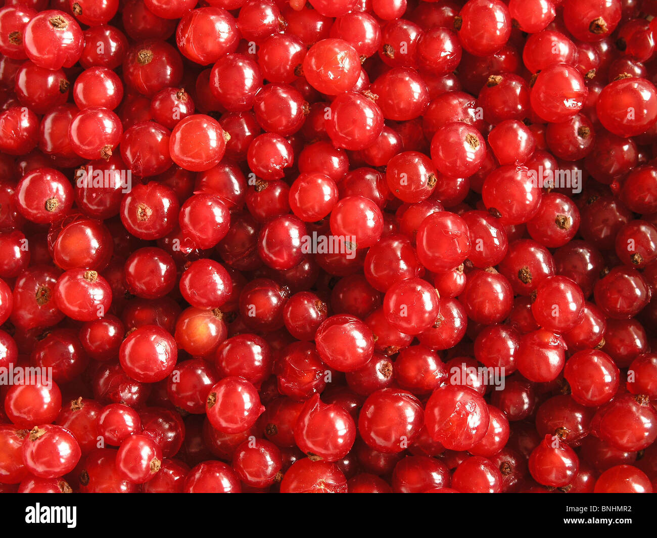 Red currant currants fruit fruits food healthy fresh detail close-up ...