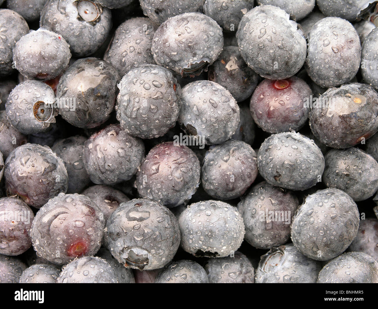 Blueberry blueberries fruit fruits food healthy fresh detail close-up ...