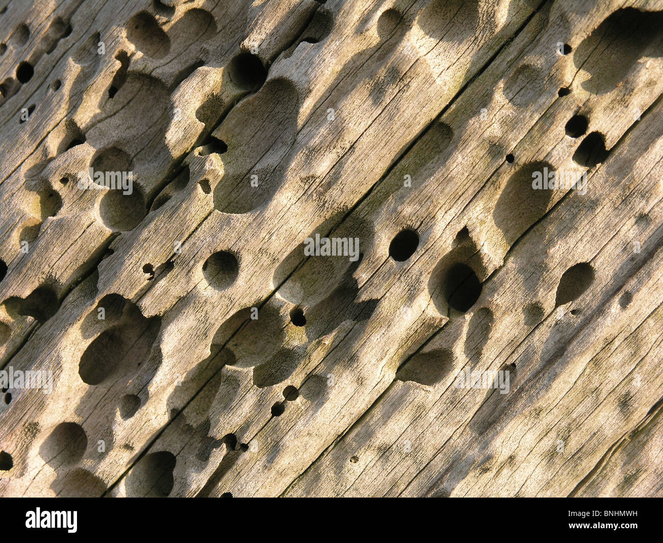 Perforated wood hi-res stock photography and images - Alamy