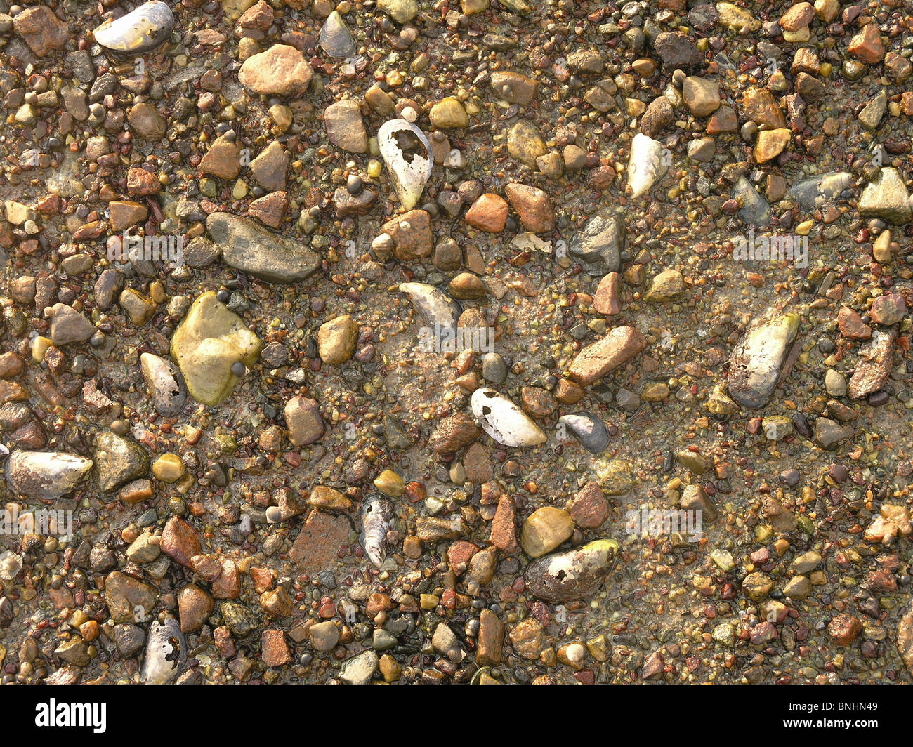 Sweden gravel beach stones detail close-up nature rock background coast ...