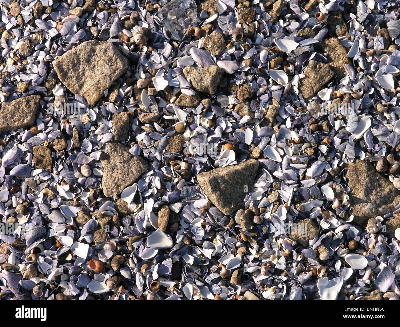 Sweden gravel beach stones detail close-up nature rock background coast ...