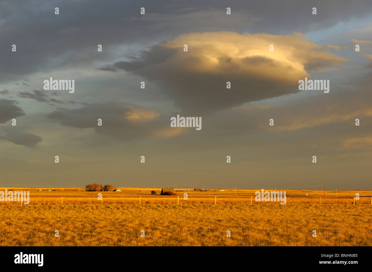 USA Farmhouse fields last sunlight near Conrad Montana field plain ...