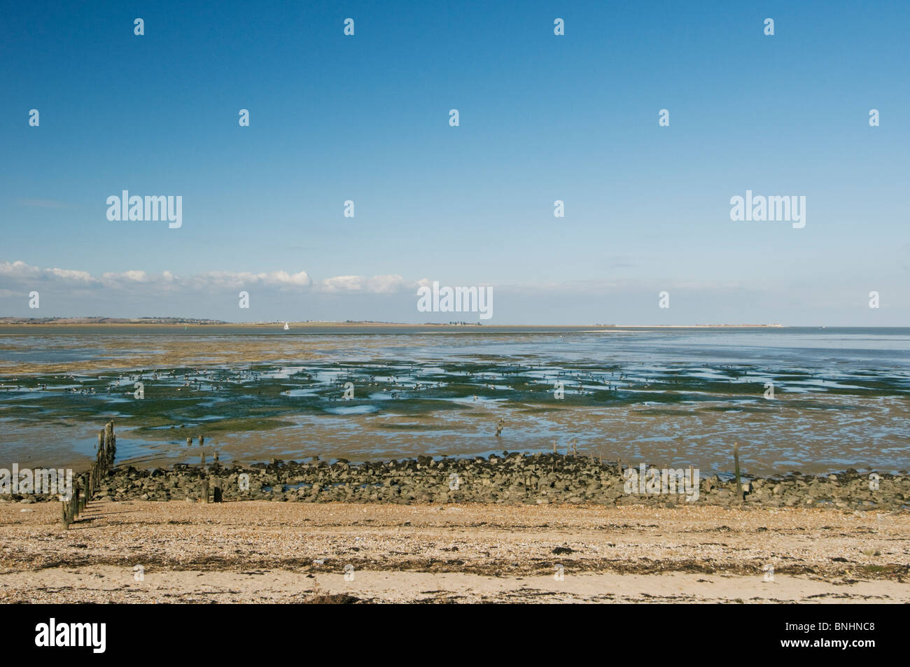 Swale nature reserve hi-res stock photography and images - Alamy