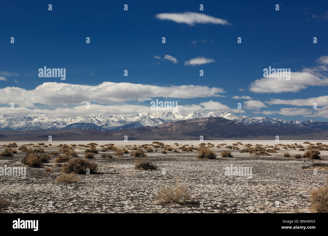 USA Salt Desert Sierra Nevada near Coaldale Nevada salt landscape ...