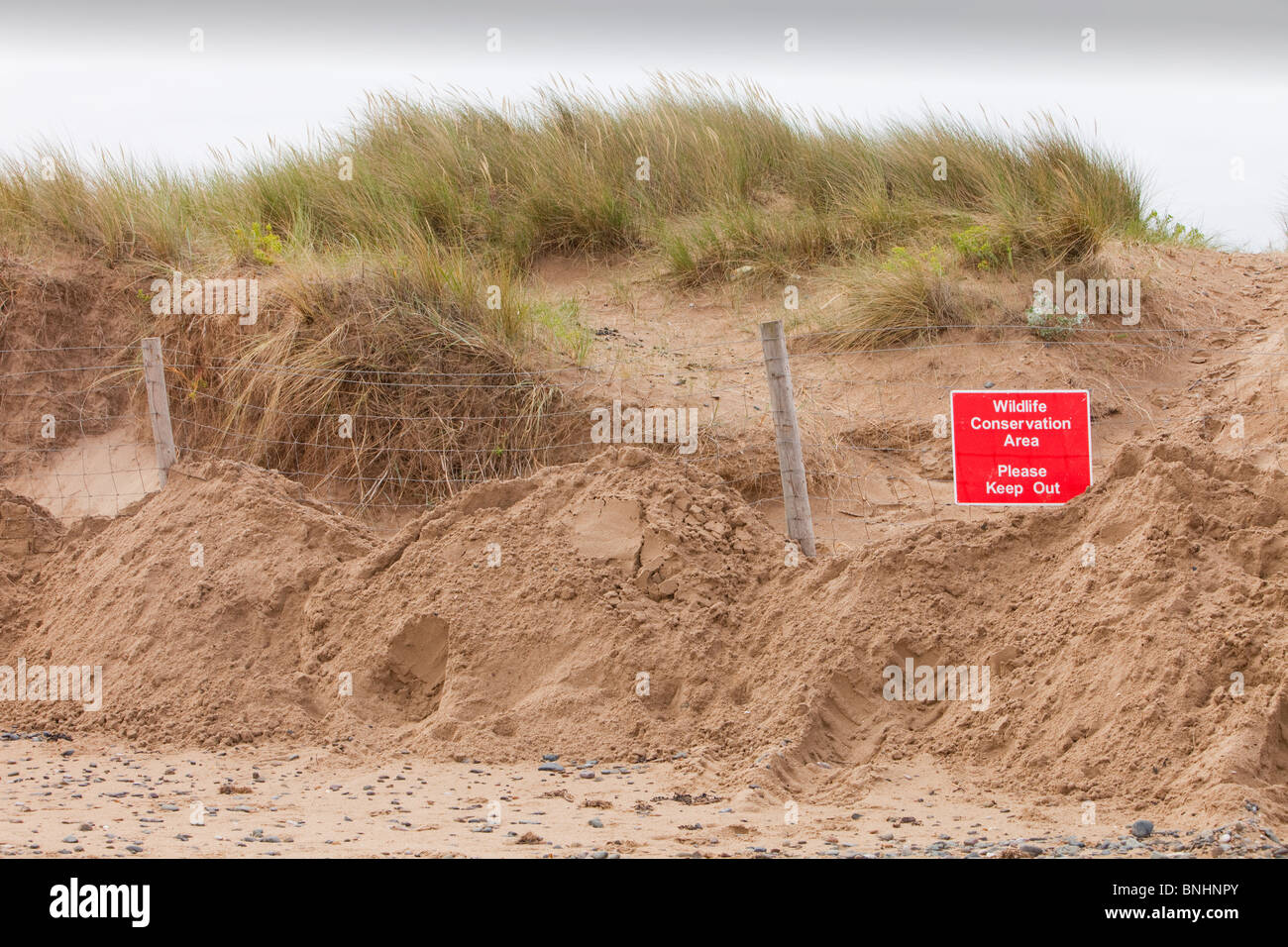 Coastal dune restoration hi-res stock photography and images - Alamy