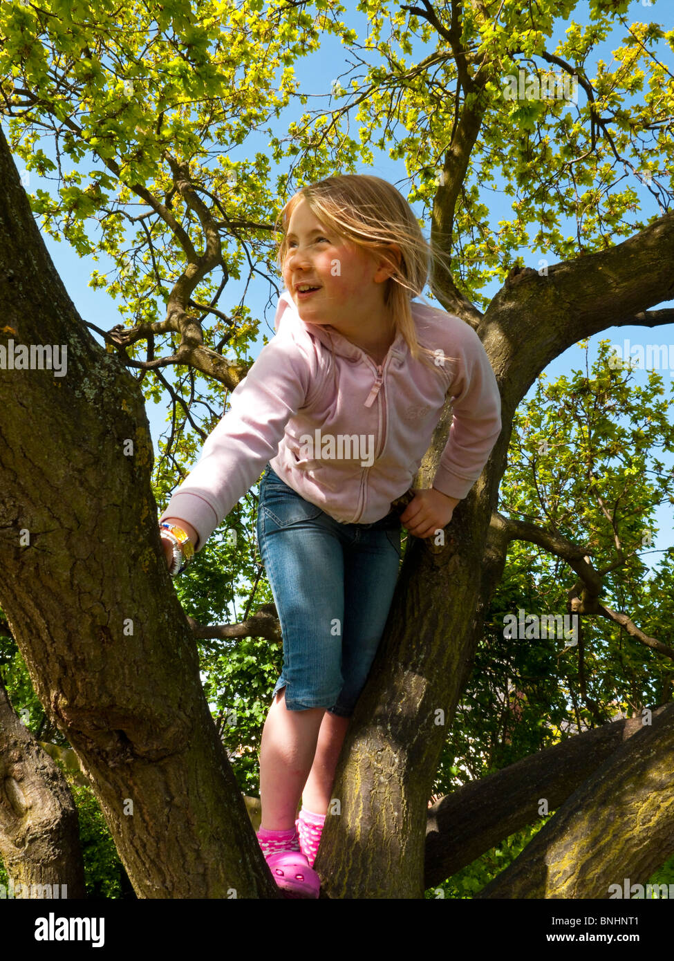 Eight year old blonde girl climbing a tree wearing blue jeans and a ...