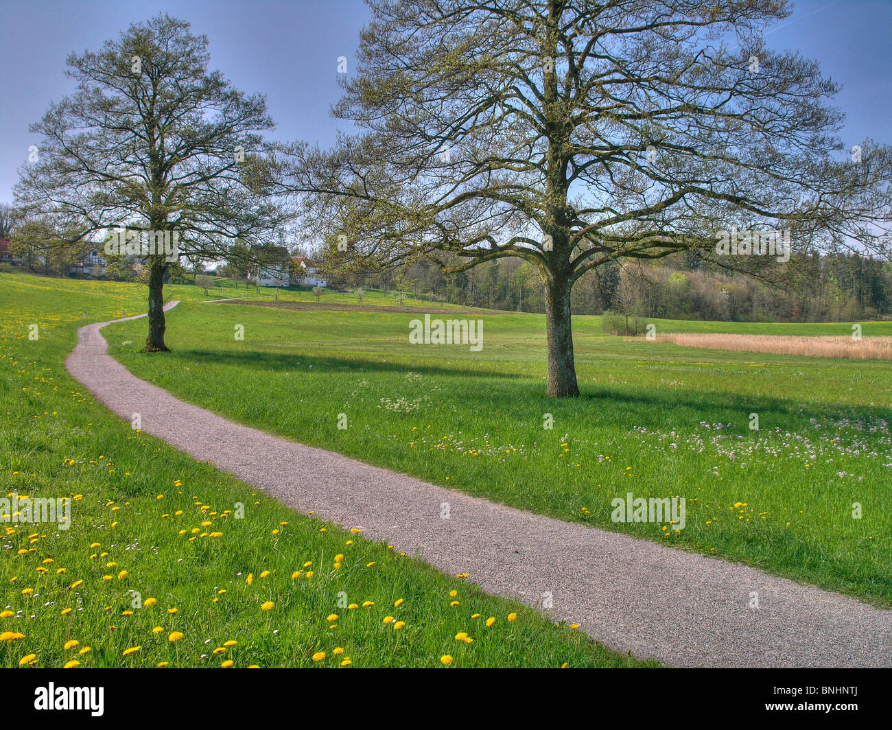Switzerland zurich landscape spring scenery hi-res stock photography ...