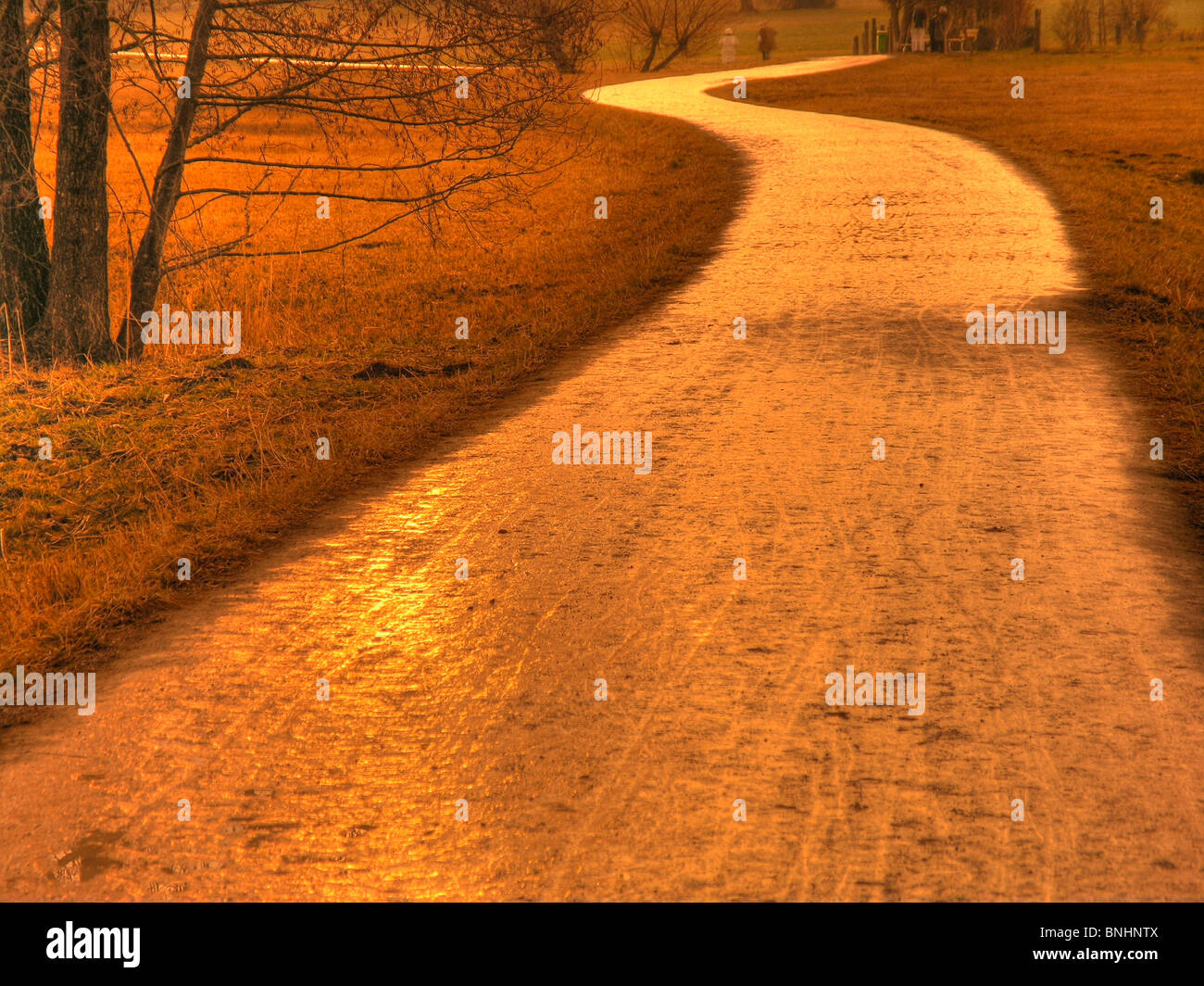 Switzerland Canton of Zurich Lützelsee nature reserve atmoshperic ...