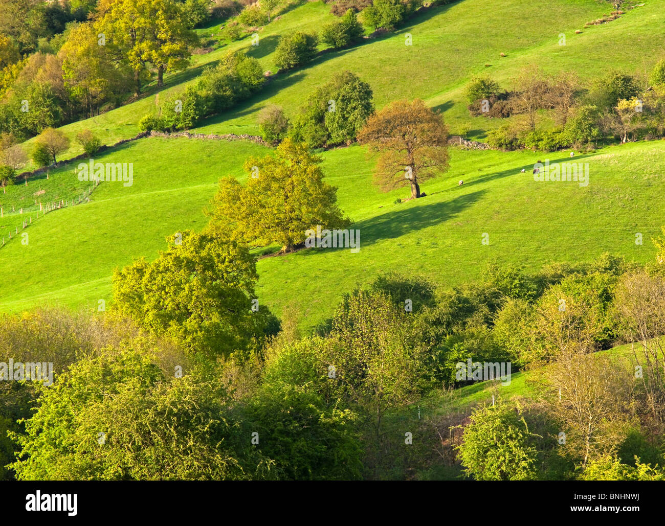 Gentle hill walking hi-res stock photography and images - Alamy