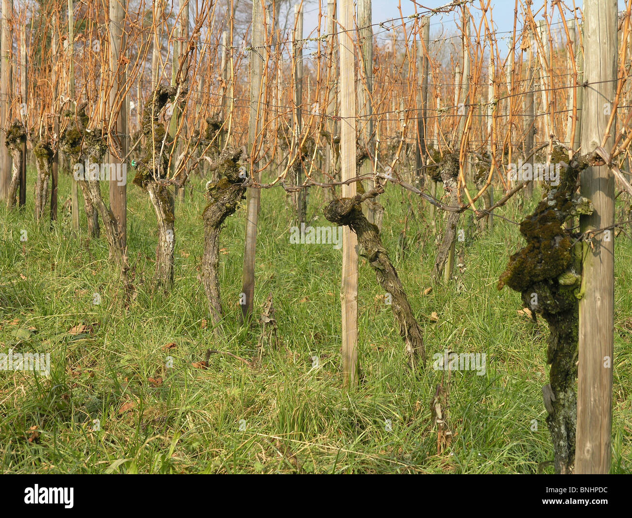 Stäfa switzerland hi-res stock photography and images - Alamy