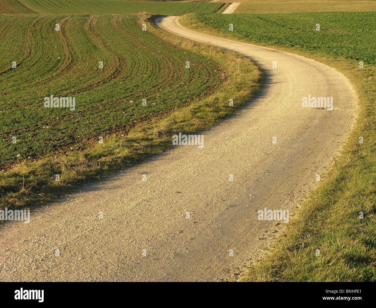 Switzerland Canton of Zurich landscape field fields way agriculture ...