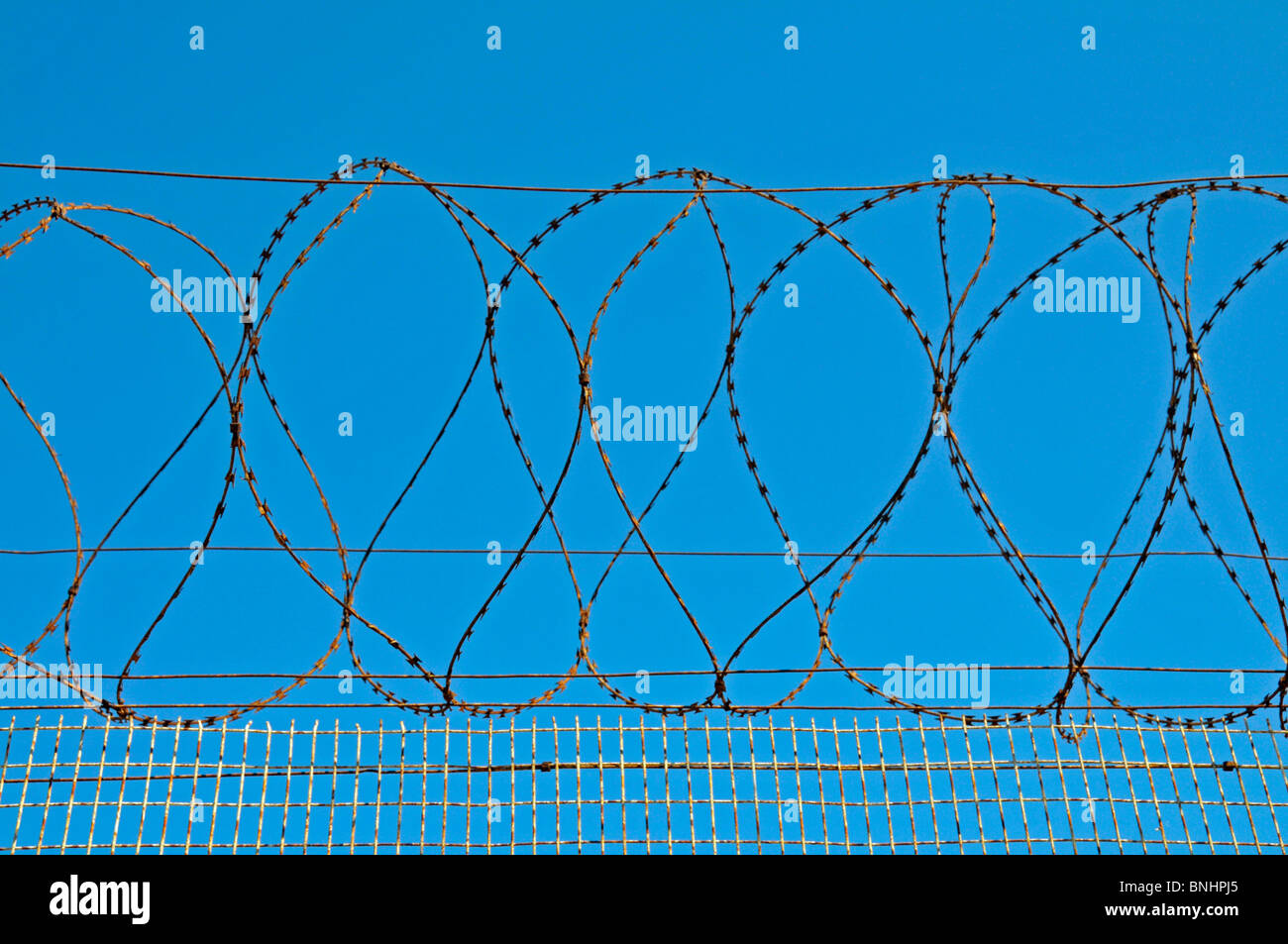 Barbed wire south africa hi-res stock photography and images - Alamy