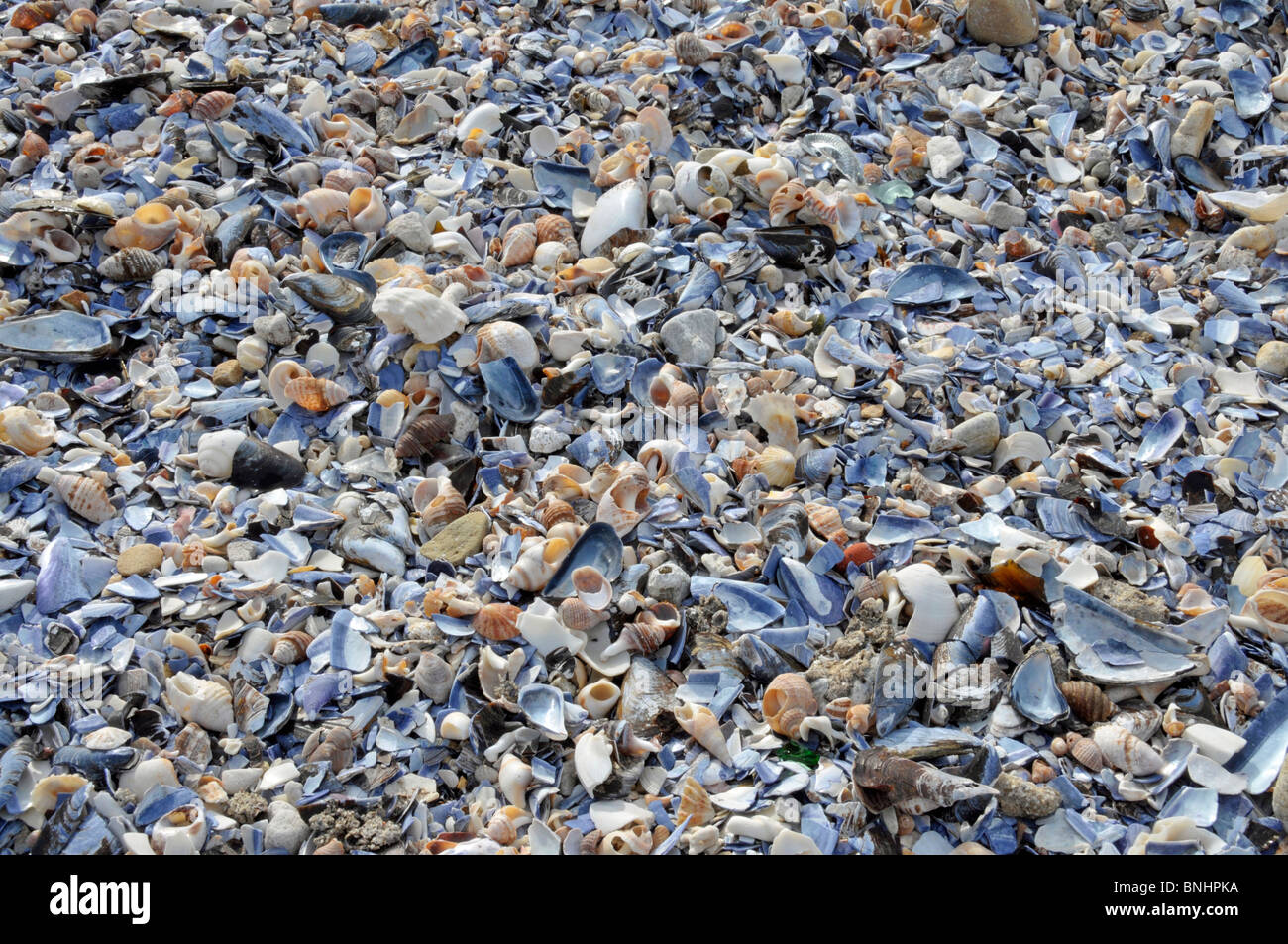 Africa St. James South Africa at Muizenberg False bay Somerset West ...