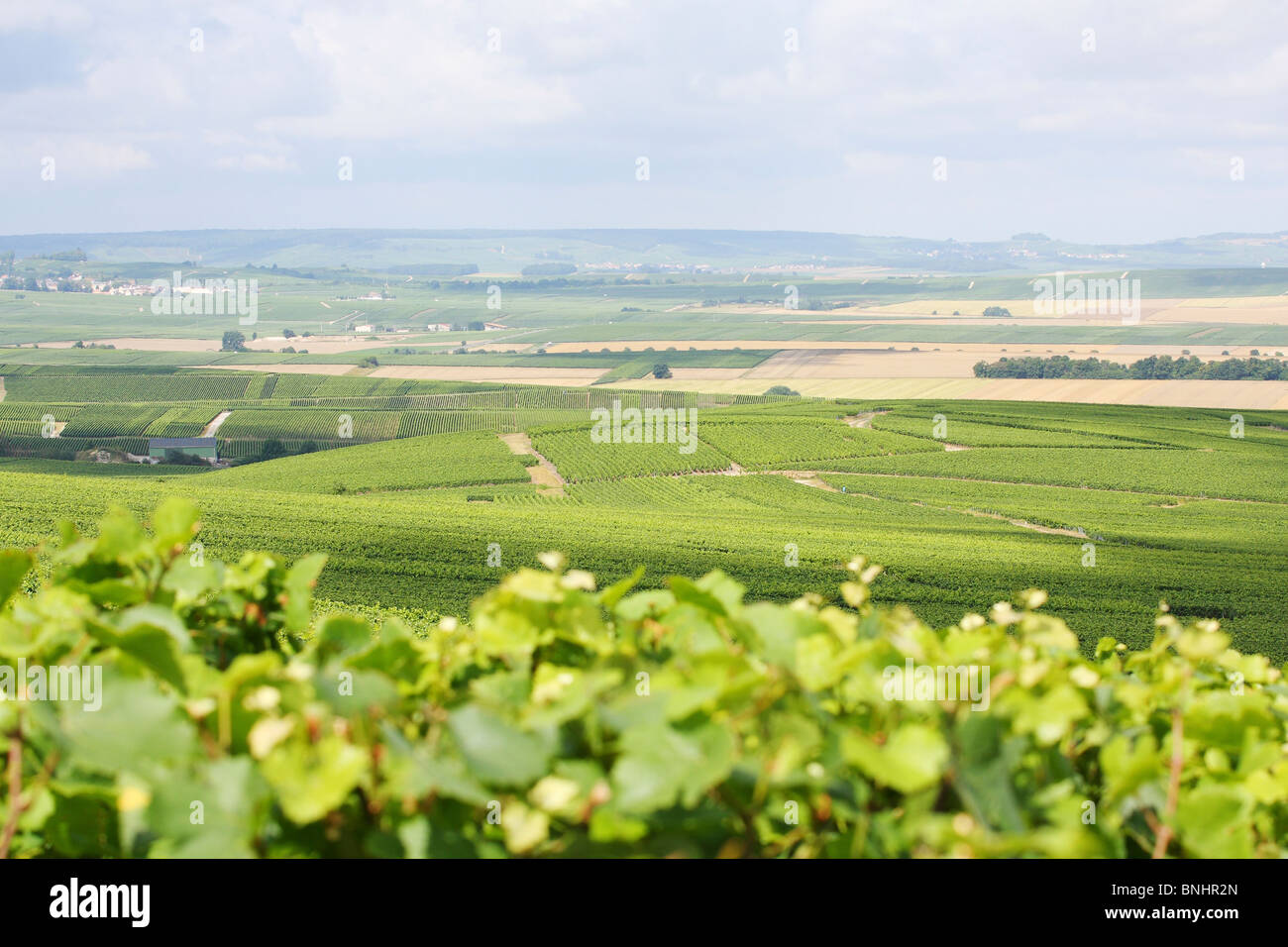 Champagne landscape hi-res stock photography and images - Alamy