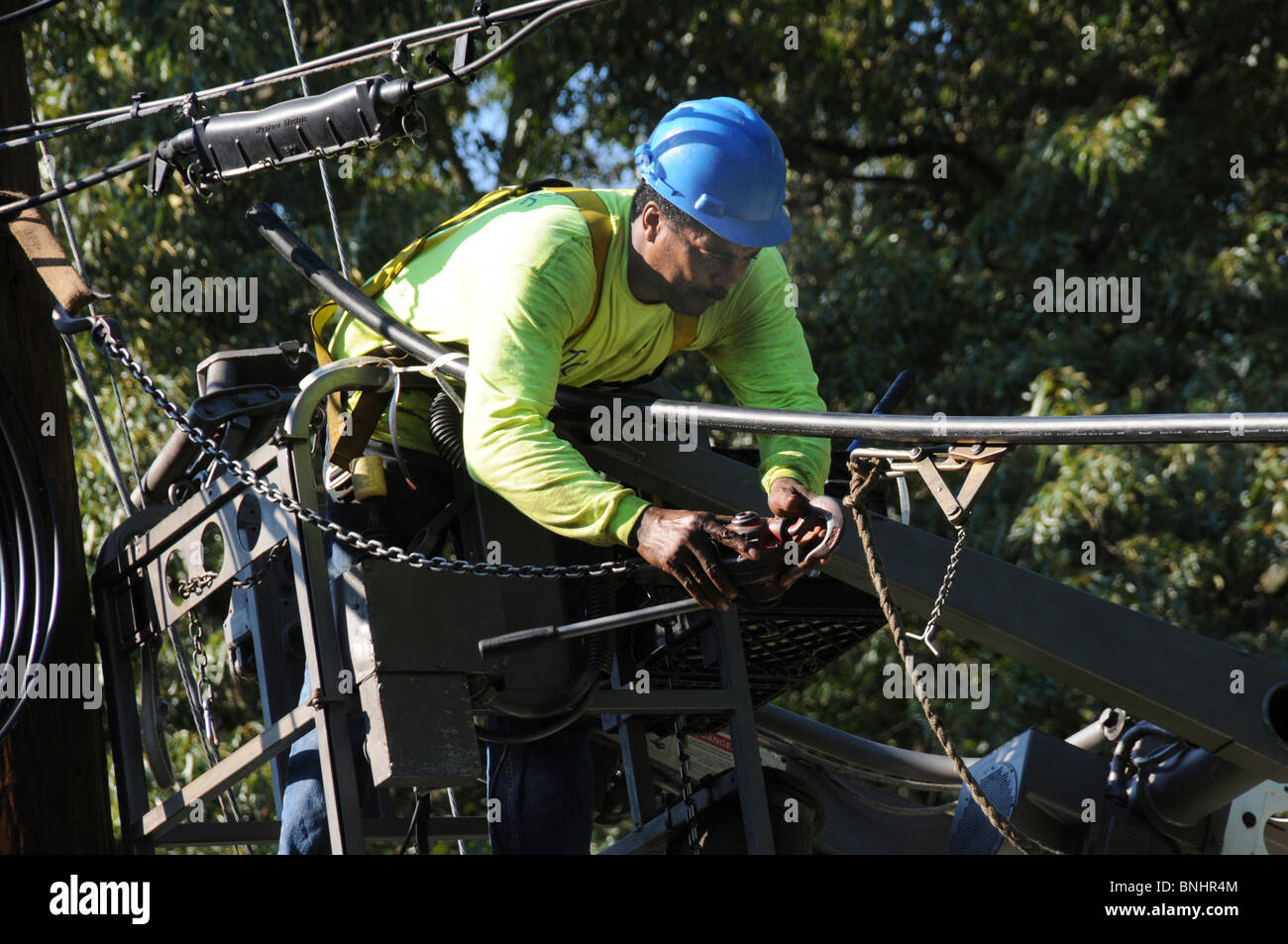 African american greenbelt hi-res stock photography and images - Alamy