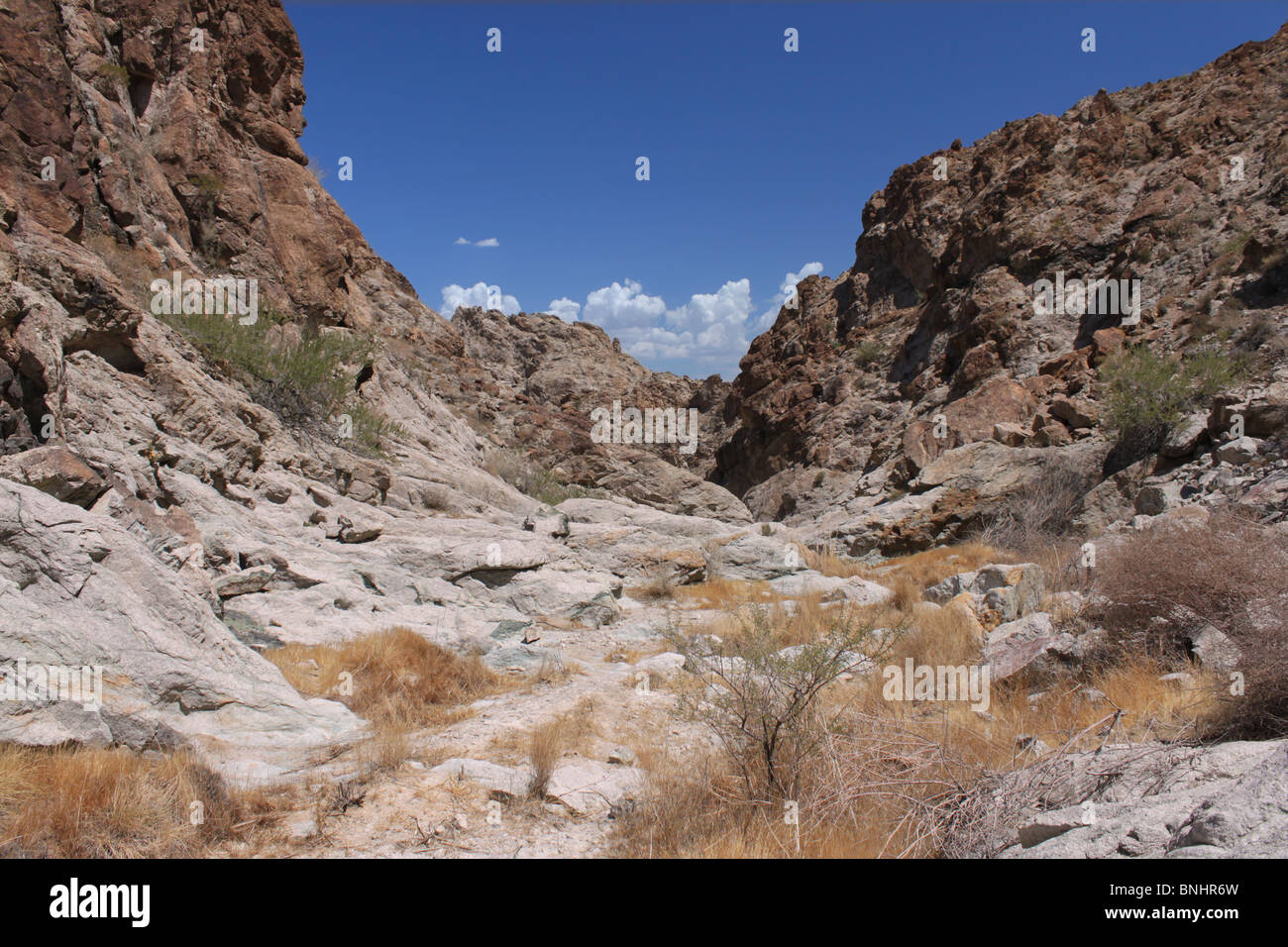 Harsh terrain in Nevada Stock Photo - Alamy