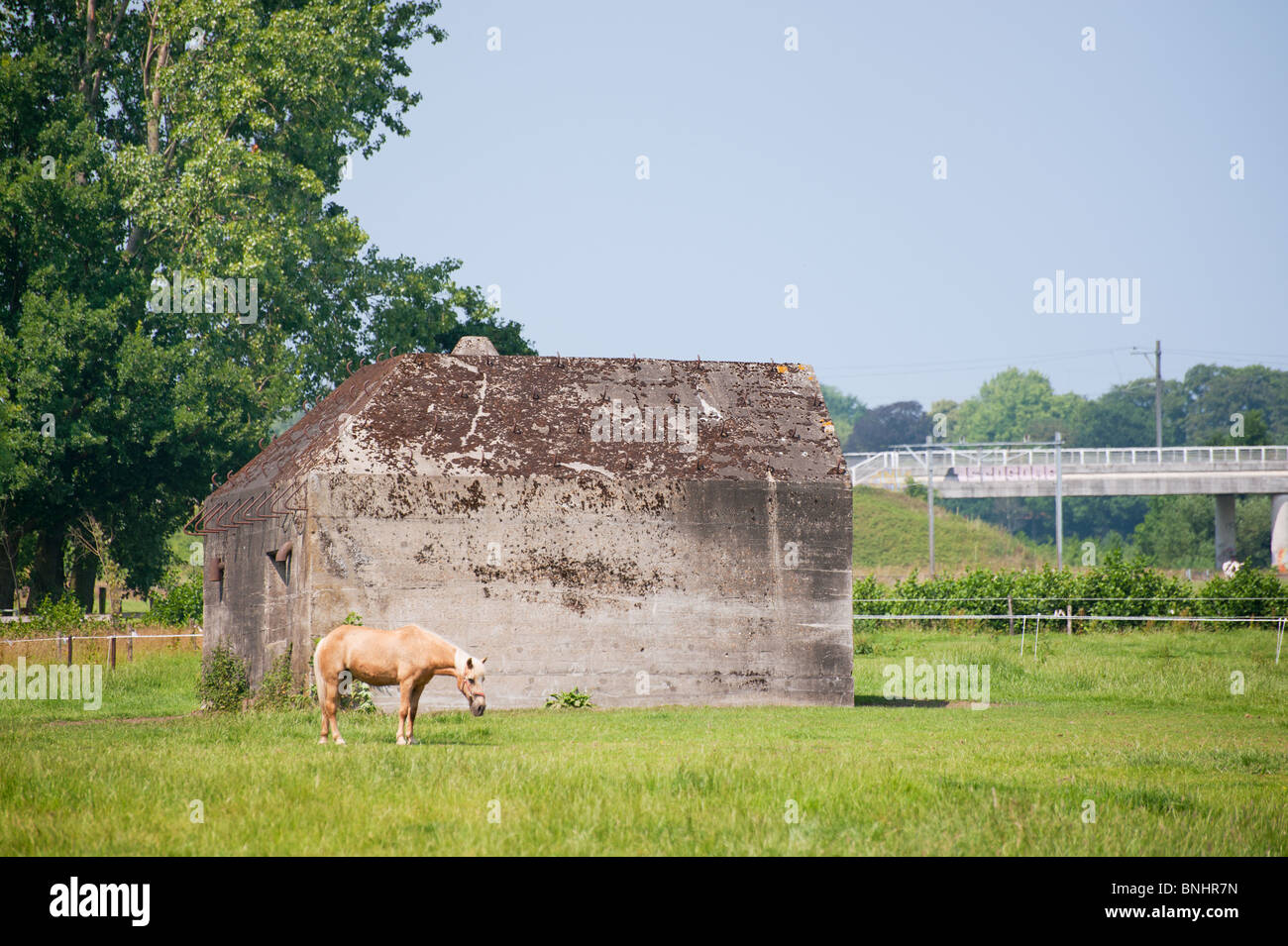 War landscape hi-res stock photography and images - Alamy