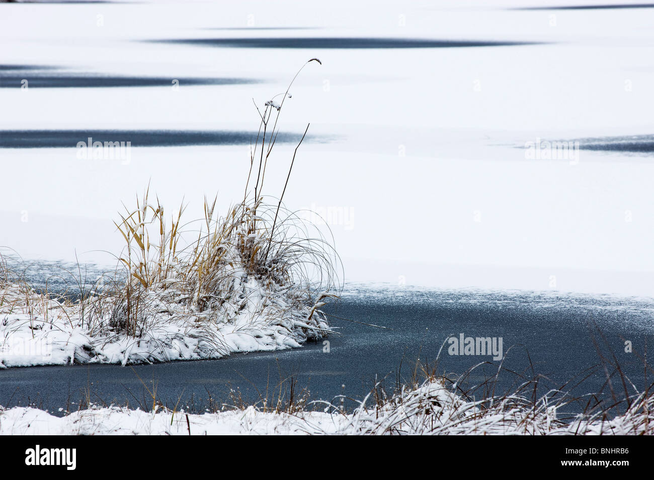 Cold Lake Nature Snow Winter Ice Freeze Frozen Landscape Scenery Shore ...