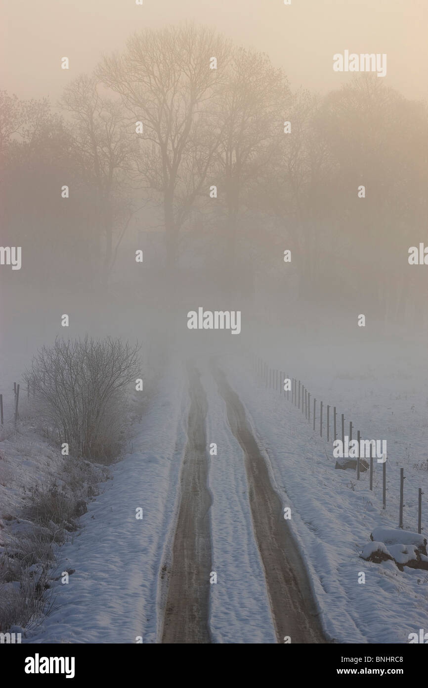 Cold Distance Fog Freezing Frozen Road Roadway Snow Snow covered Street ...