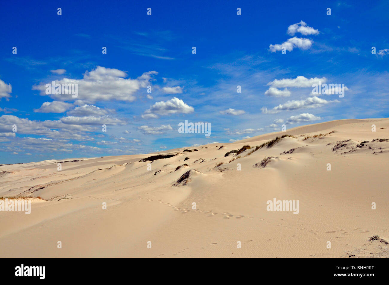 De Hoop Nature Reserve South Africa Africa Nature reserve Landscape ...