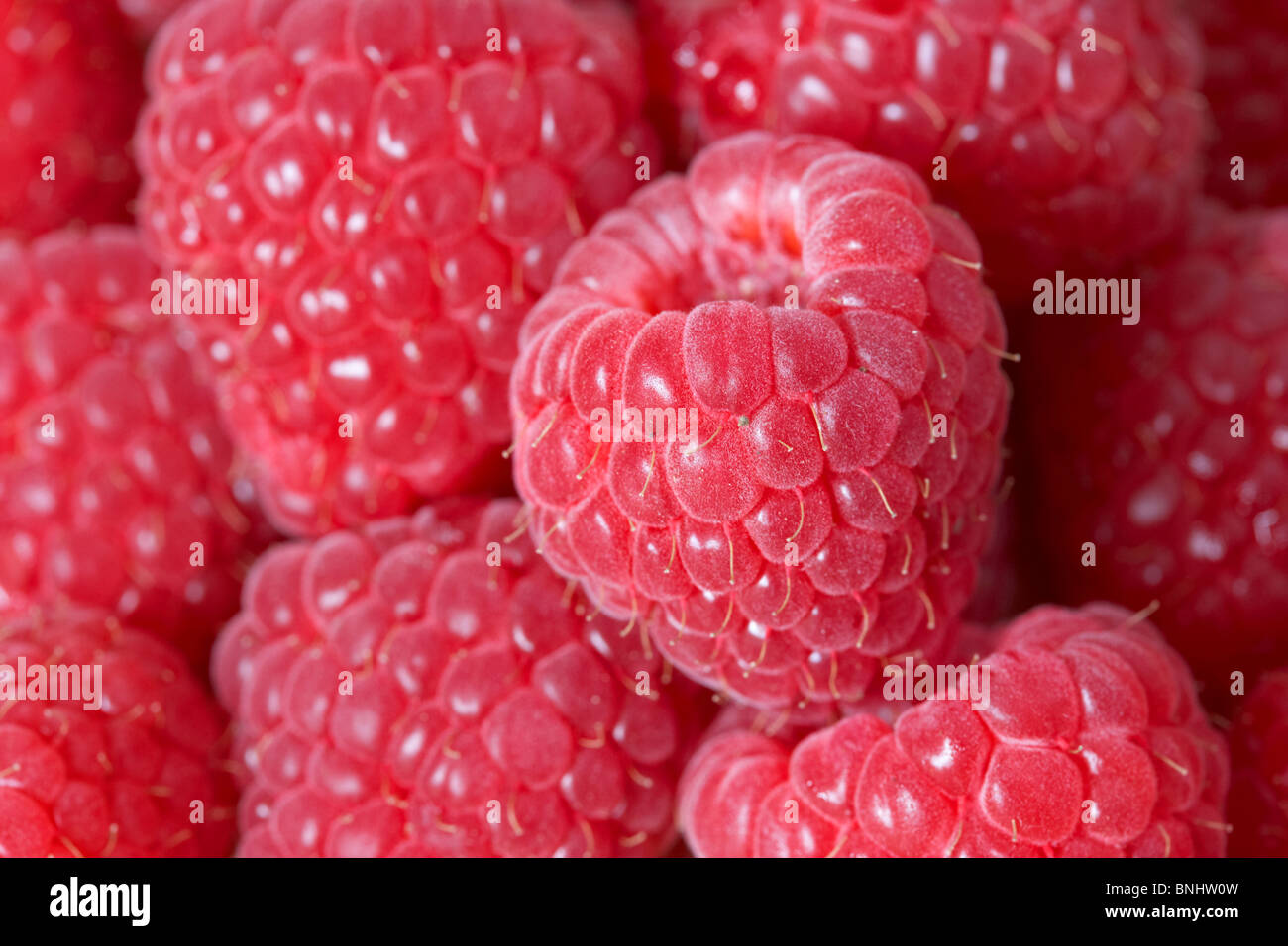 fresh maravilla raspberry fruits Stock Photo - Alamy