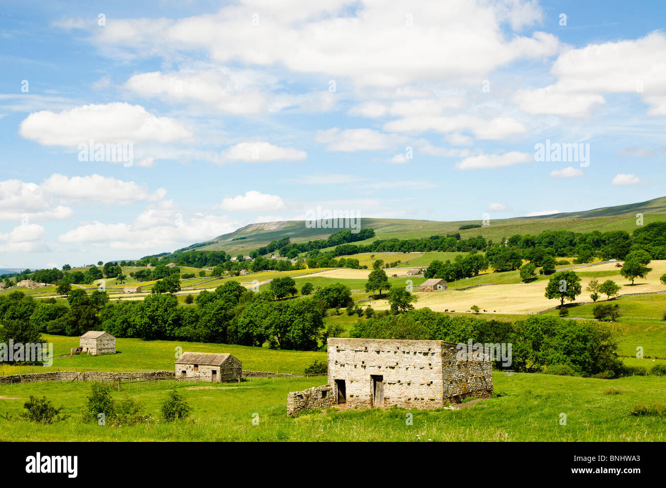 Yorkshire Dales, landscape in the upper Wensleydale near Hawes Stock ...