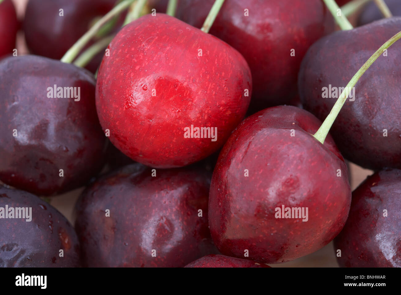 Ziraat hi-res stock photography and images - Alamy