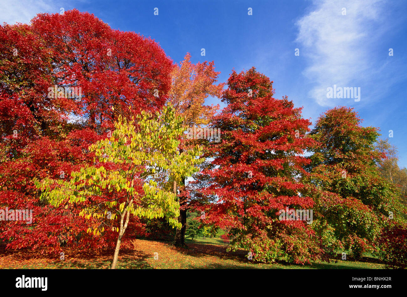 UK United Kingdom Great Britain Britain England Sussex East Sussex ...