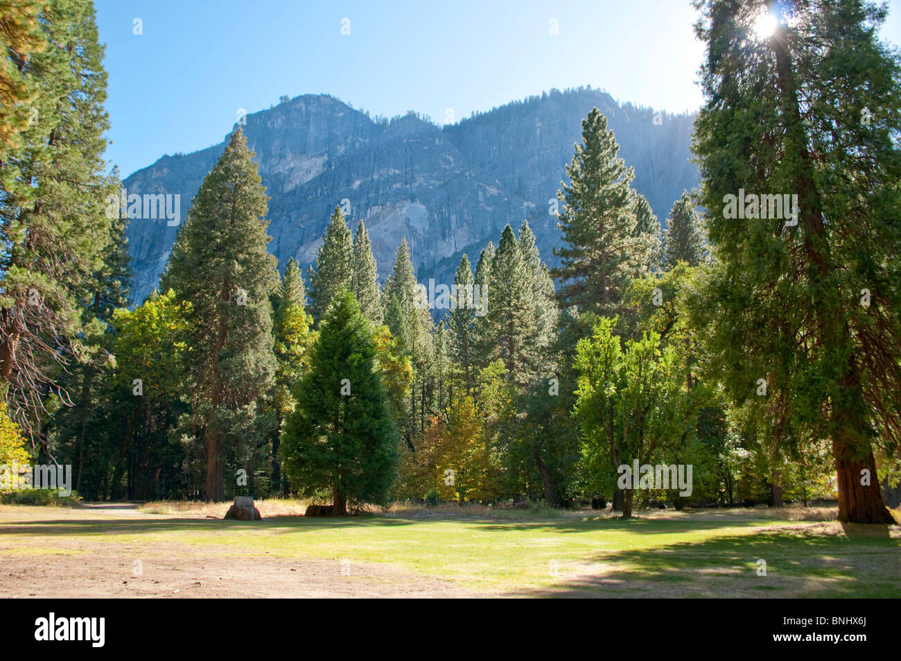 Yosemite National Park with trees and grass and mountain in the ...