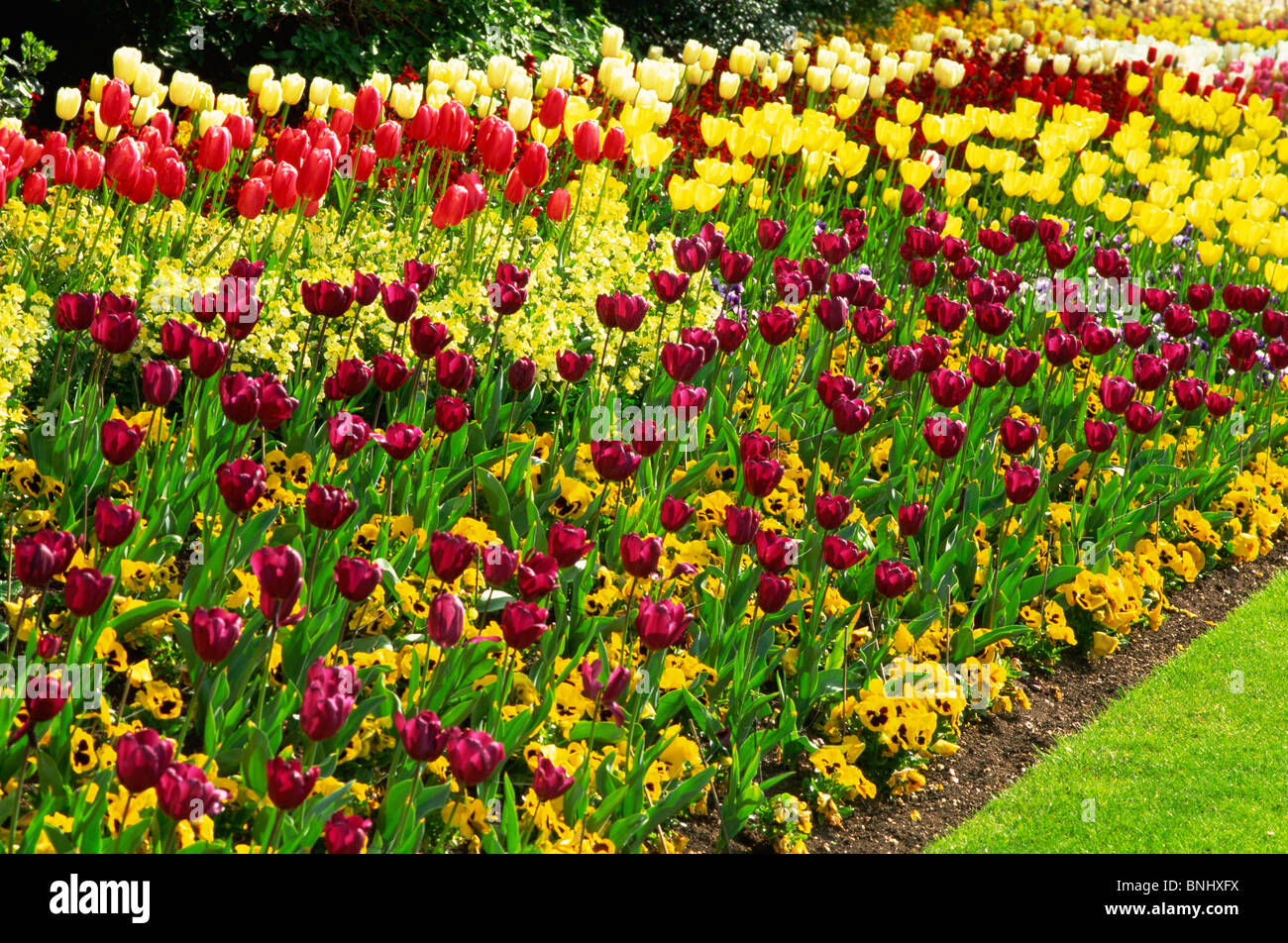 UK United Kingdom Great Britain Britain England London St. James Park ...