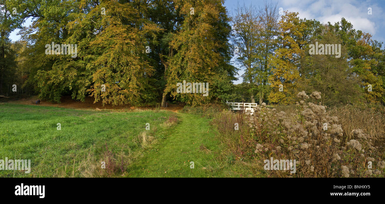 The Netherlands Holland Graveland field wood forest autumn fall nature ...