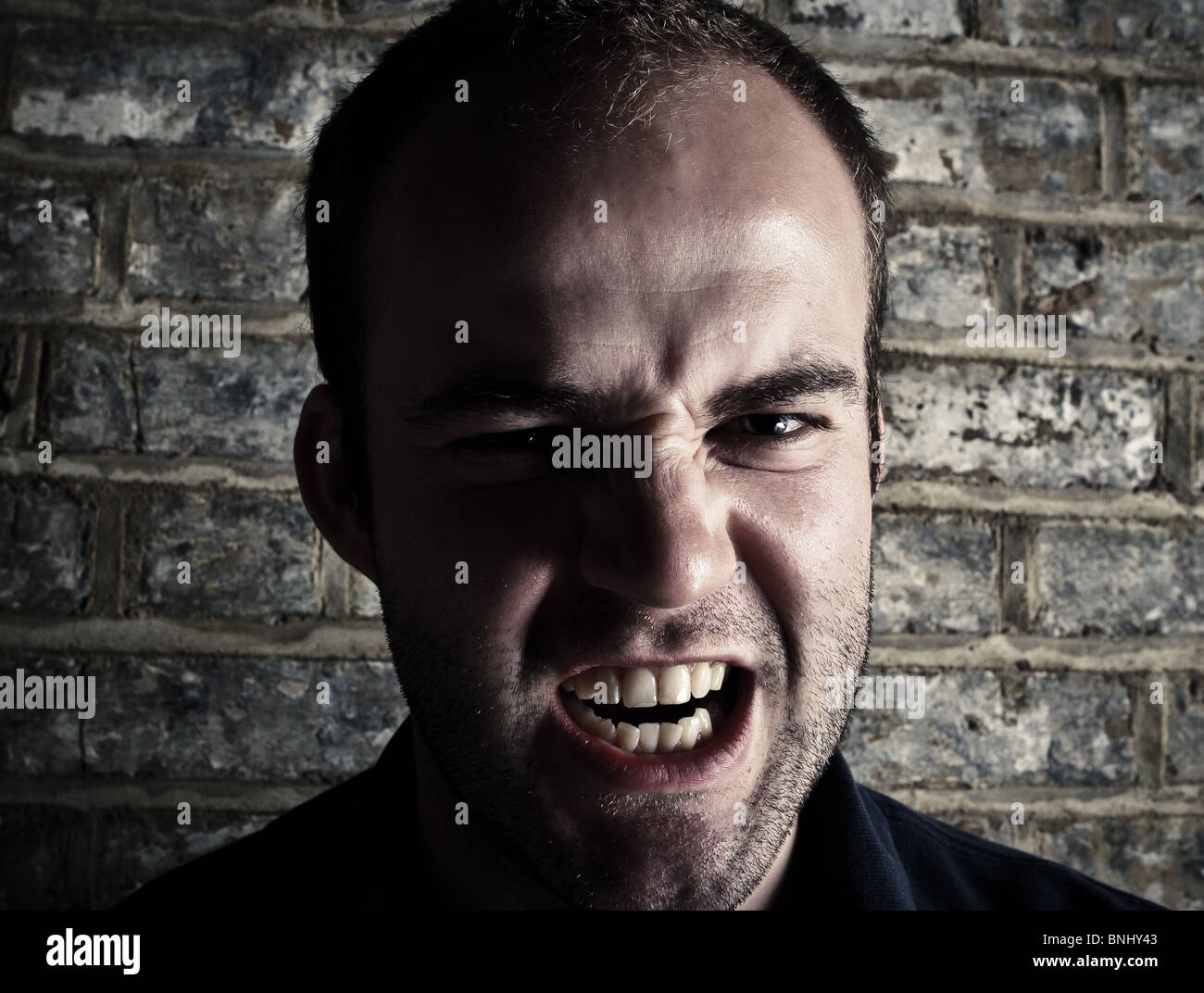 Aggressive growling angry hi-res stock photography and images - Alamy